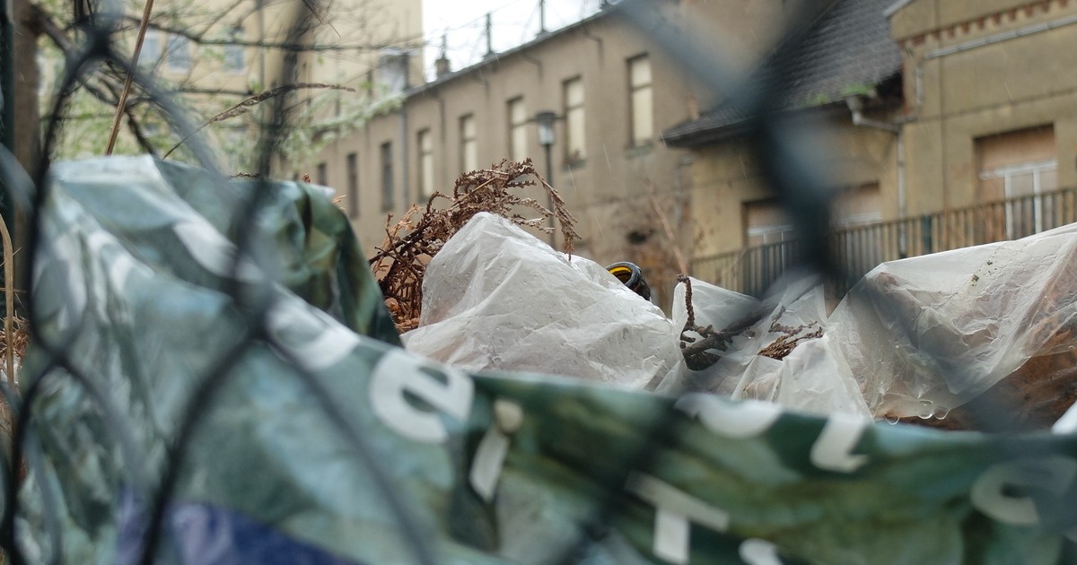 „Viele Hände machen dem Dreck ein Ende“ | Riesa TV